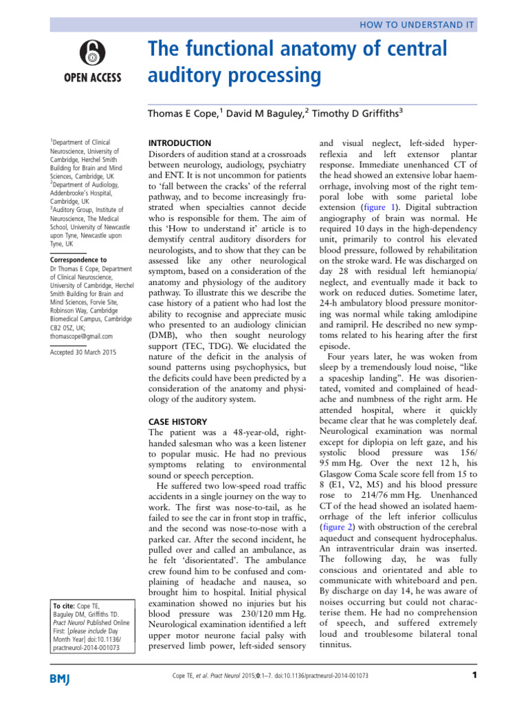 The Functional Anatomy of Central Auditory Processing | PDF | Auditory ...