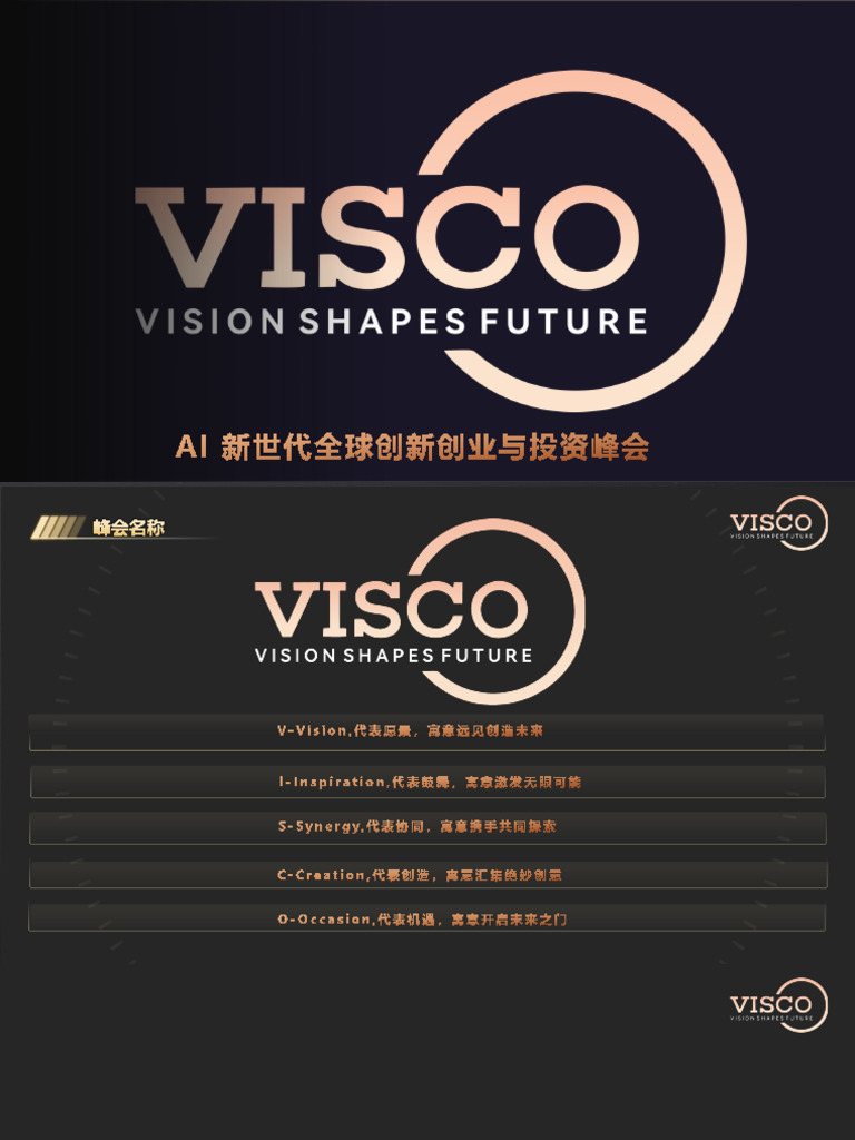VISCO峰会介绍 | PDF
