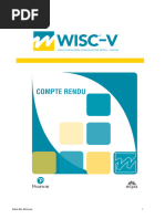 Interprétation des subtests WISC-V | PDF