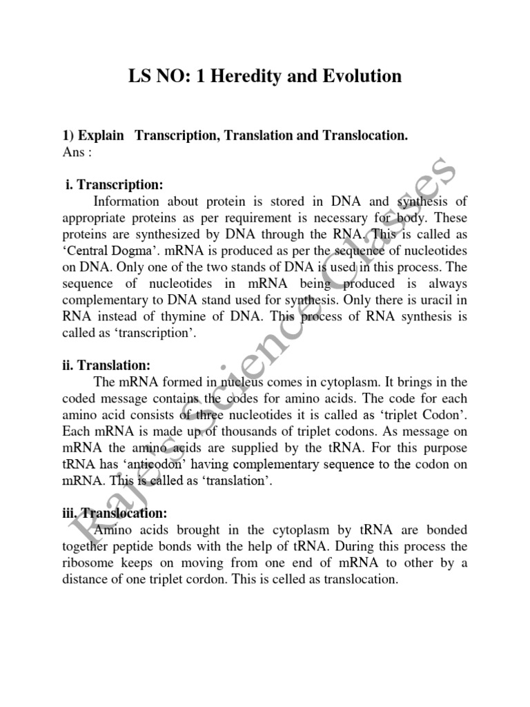 Heredity and Evolution 1 | PDF | Translation (Biology) | Messenger Rna