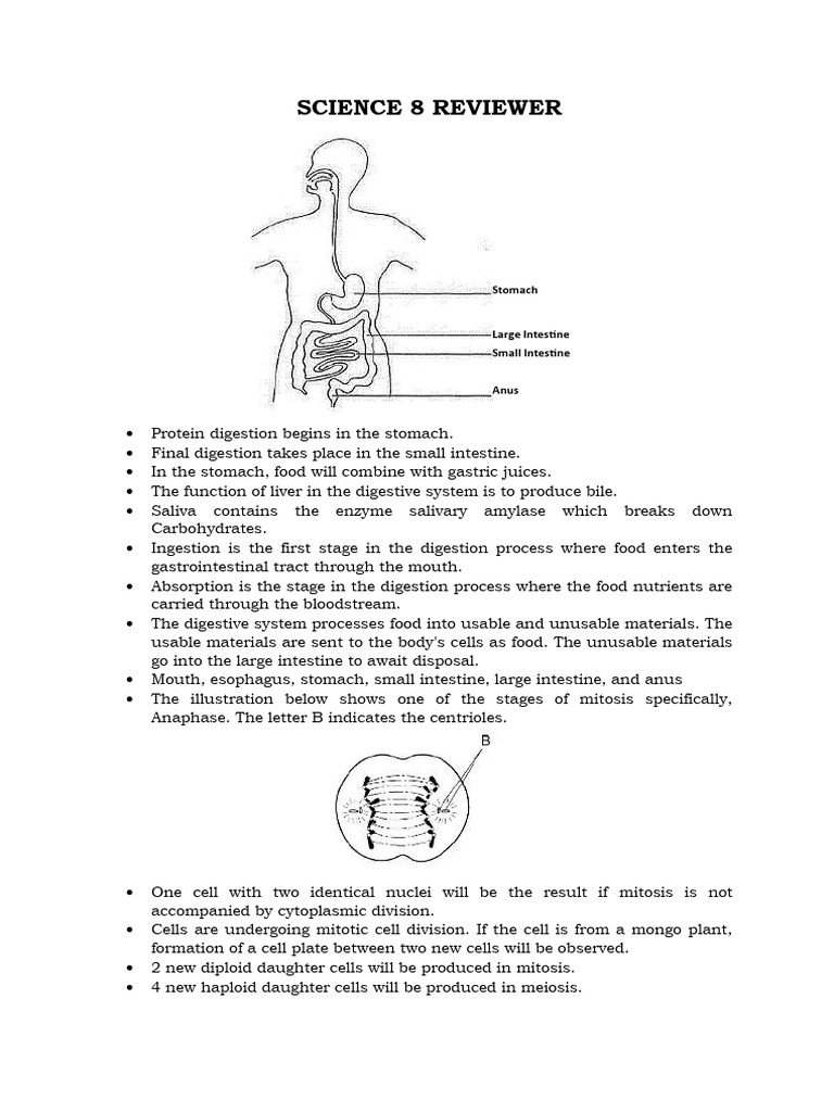 Science 8 Reviewer 4th | PDF | Dominance (Genetics) | Mitosis