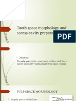 Access Opening | PDF | Dental Anatomy | Dentistry Branches