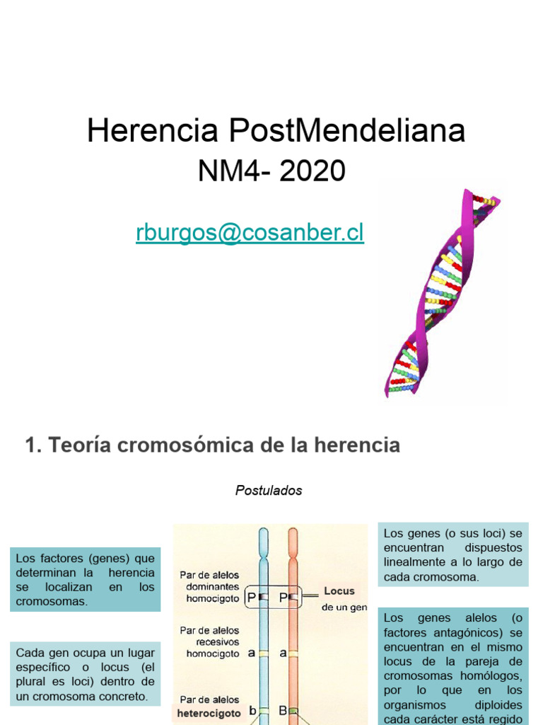 Herencia Genética y Ligamiento | PDF | Tipo de sangre | Dominancia ...