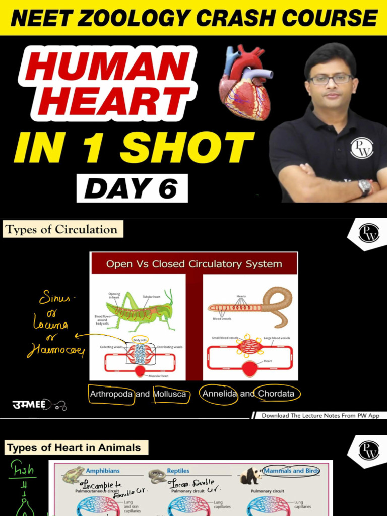 Human Heart - Lect Notes | PDF