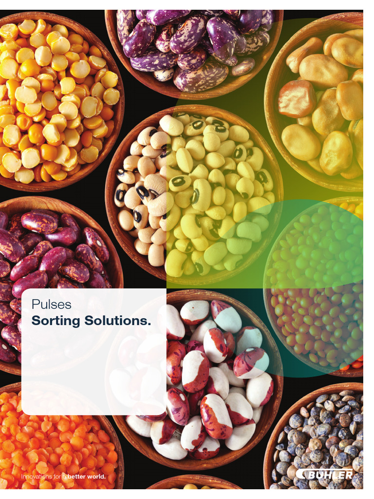 Pulses: Sorting Solutions | PDF | Technology & Engineering