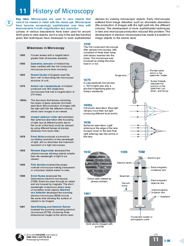 11 - History of Microscopy | PDF | Microscope | Transmission Electron Microscopy