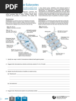 Microscopy Euglena | PDF