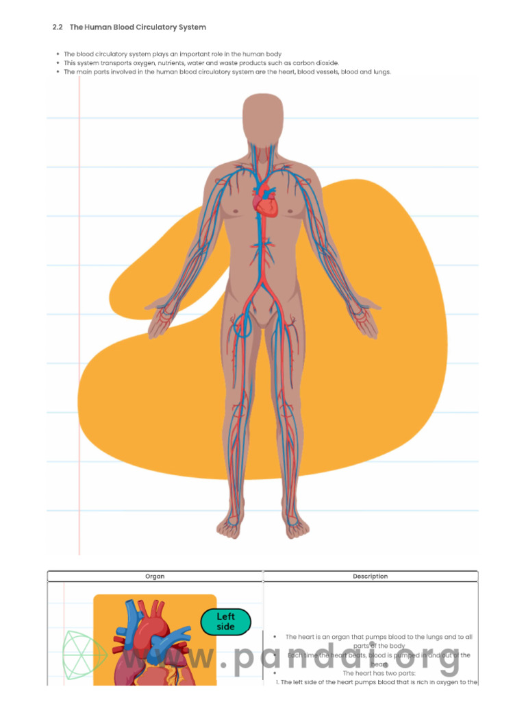CHAPTER 2 Science | PDF