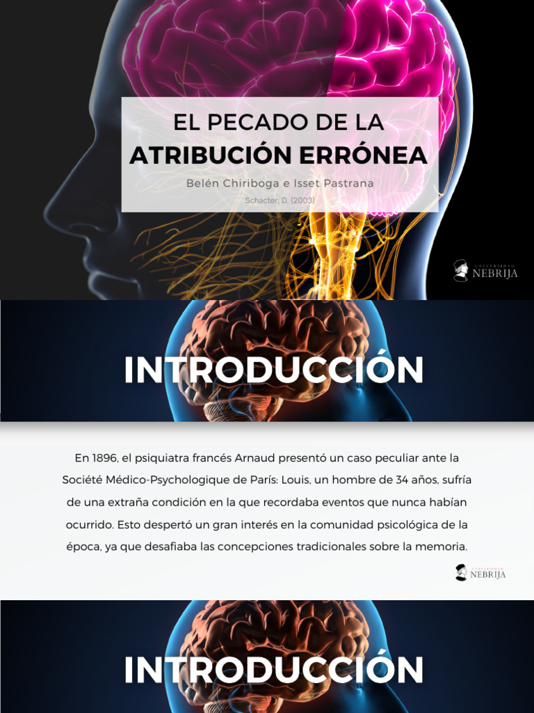 Errores de Memoria y Atribución | PDF | Cerebro | Memoria