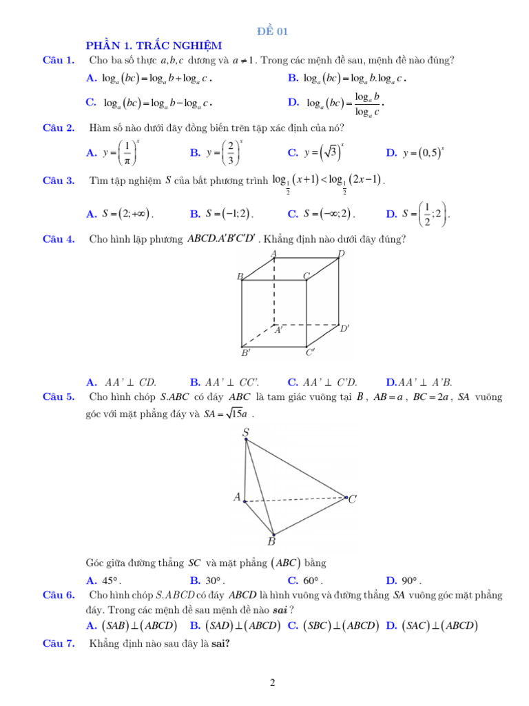 De1-10 CK2 Toan11 | PDF
