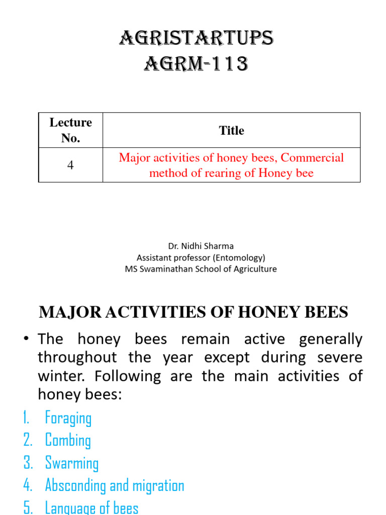 Major Activities of Honey Bees | PDF | Honey Bee | Beehive