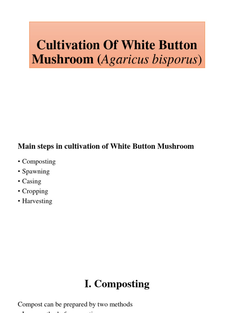 White Button Mushroom Guide | PDF | Compost | Soil
