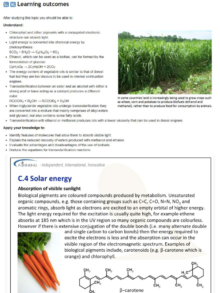 Understanding C4 | PDF