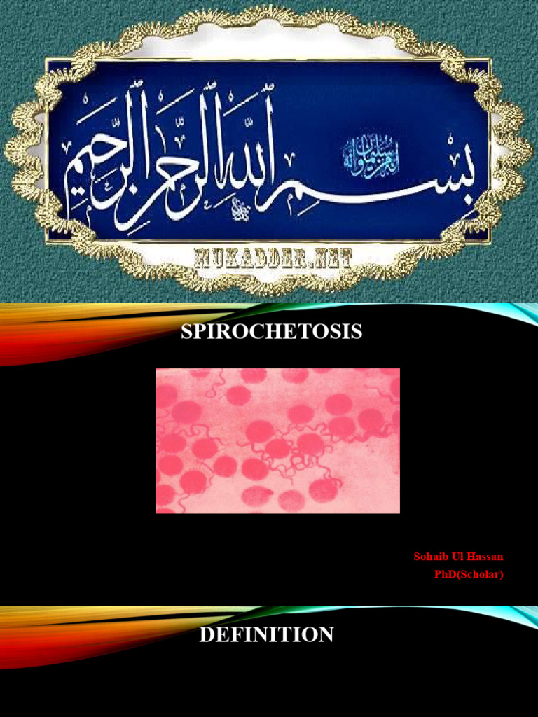 Spirochetosis | PDF | Causes Of Death | Microbiology