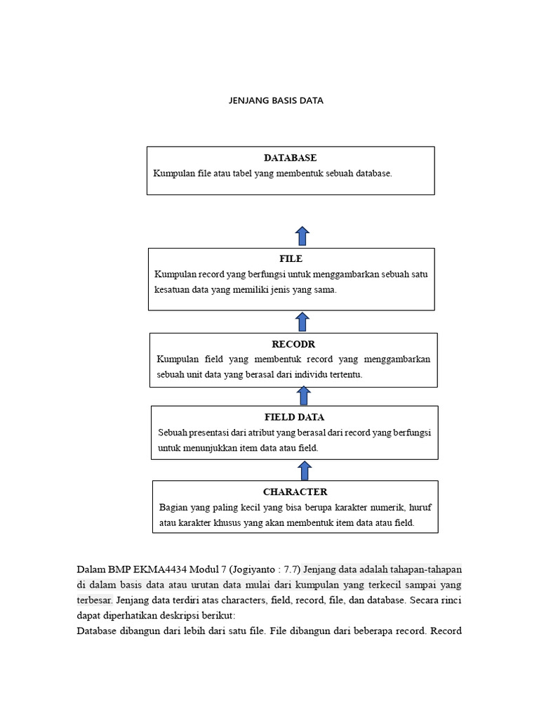 Jenjang Data dalam Basis Data | PDF