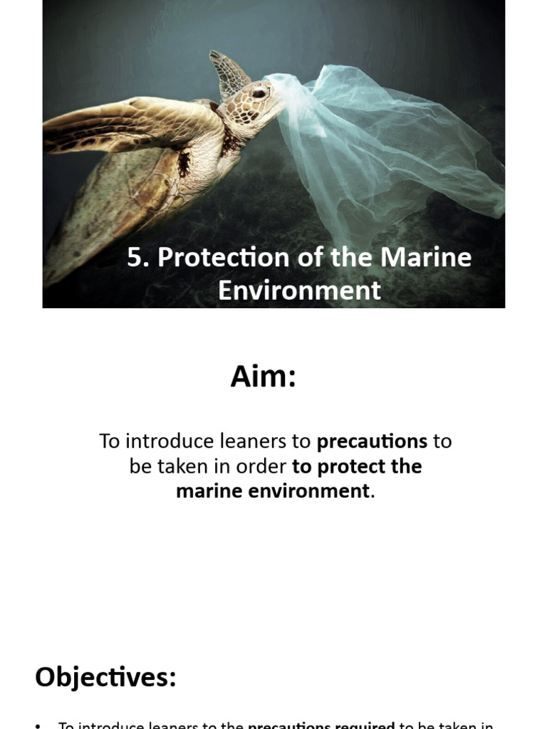 Marine Environment Protection Guide | PDF | Pollution | Ships