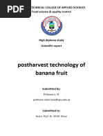 IMDS Data Entry Guideline - Rev13 | PDF | Chemical Substances | Chemistry