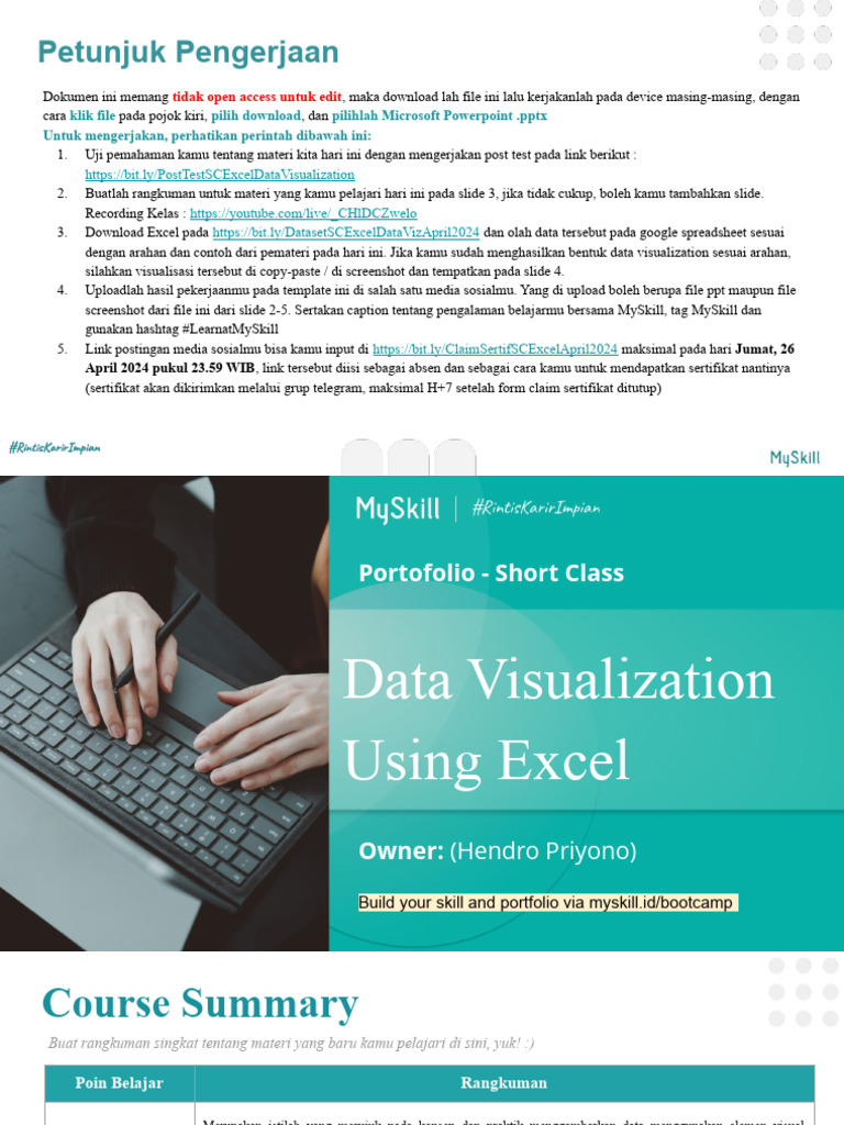Mini Task SC Excel - Data Visualization | PDF