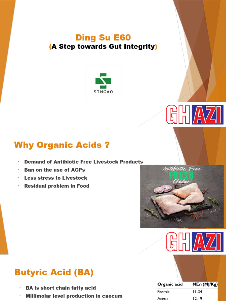 Ding Su | PDF | Digestion | Gastrointestinal Tract