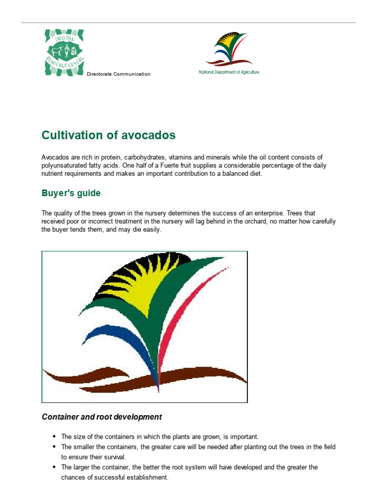 Cultivation of Avocados | PDF | Soil | Avocado