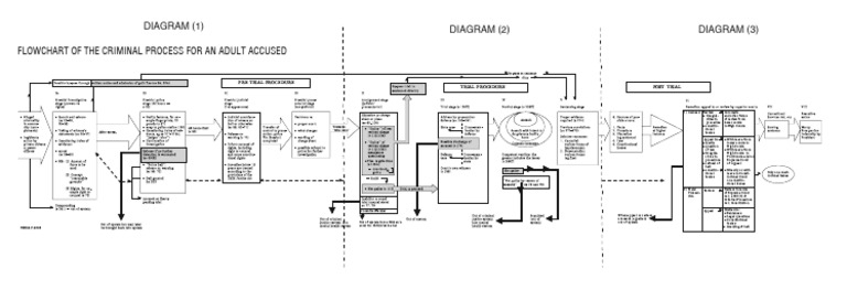 CPR3701 Flow Chart | PDF | Appeal | Bail