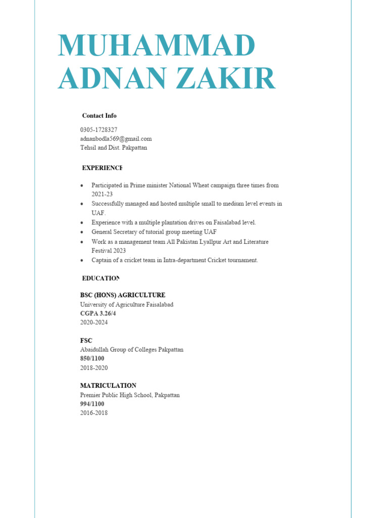 Ikram CV | PDF | Technology & Engineering