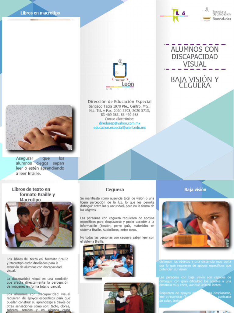 Triptico Visual | PDF | Discapacidad visual | Percepción visual