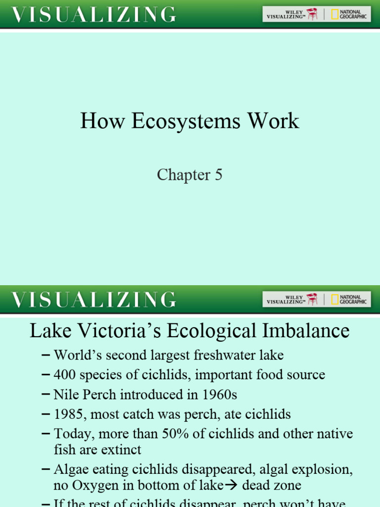 ENV1 Chapter 4 Risk Analysis and Environmental Health Hazards | PDF ...
