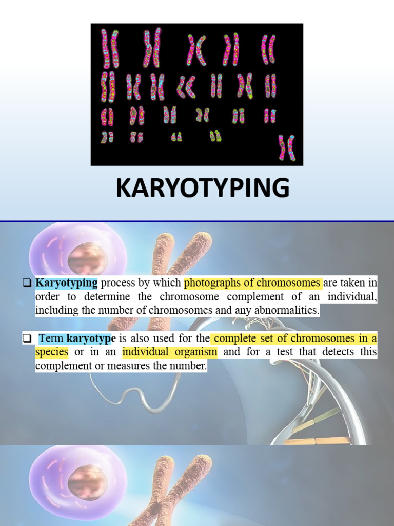 Karyotyping - IMCC Cytogenetics | PDF | Karyotype | Chromosome