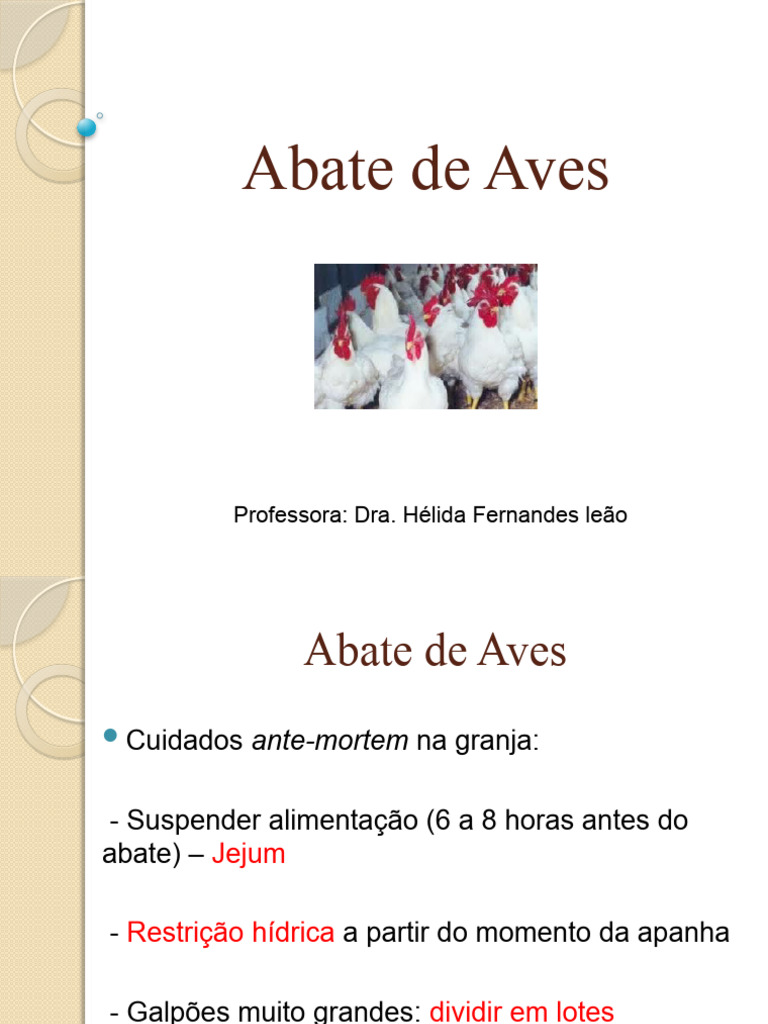 Cuidados e Processos no Abate de Aves | PDF | Aves