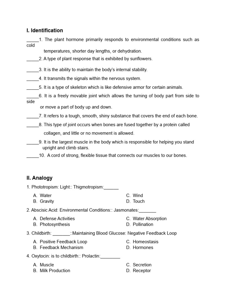 Long Quiz Hubble | PDF | Skeleton | Bone