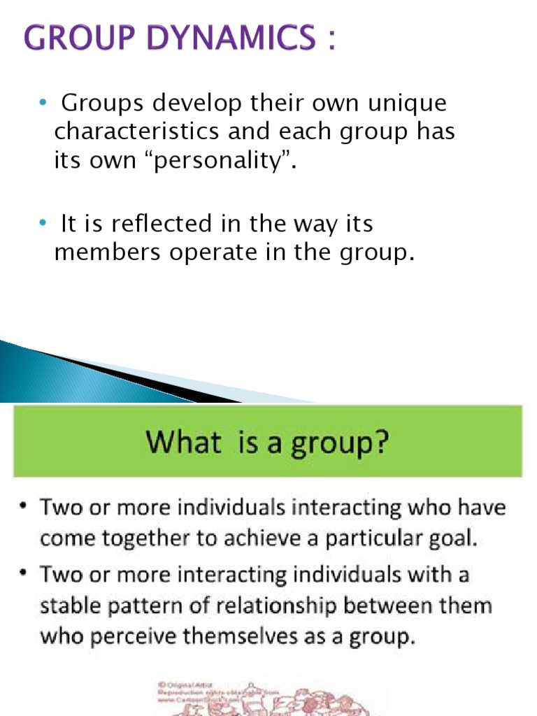 Group Dynamics | PDF