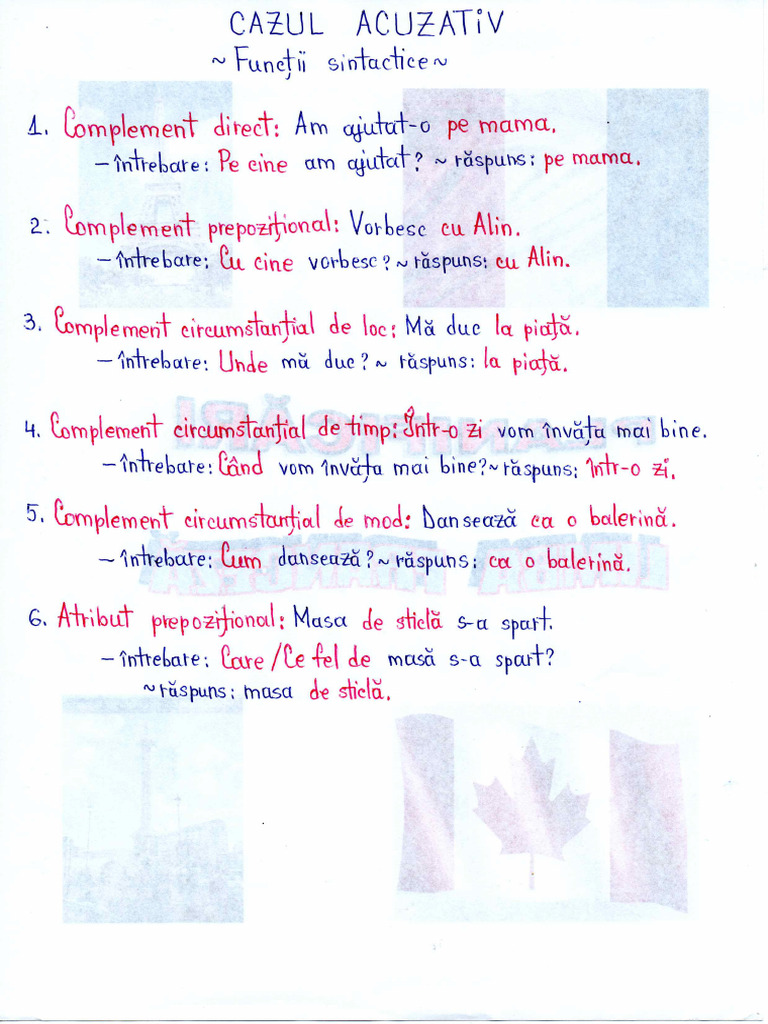 Cazul Acuzativ | PDF