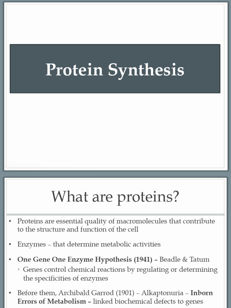 Protein Synthesis | PDF | Translation (Biology) | Messenger Rna