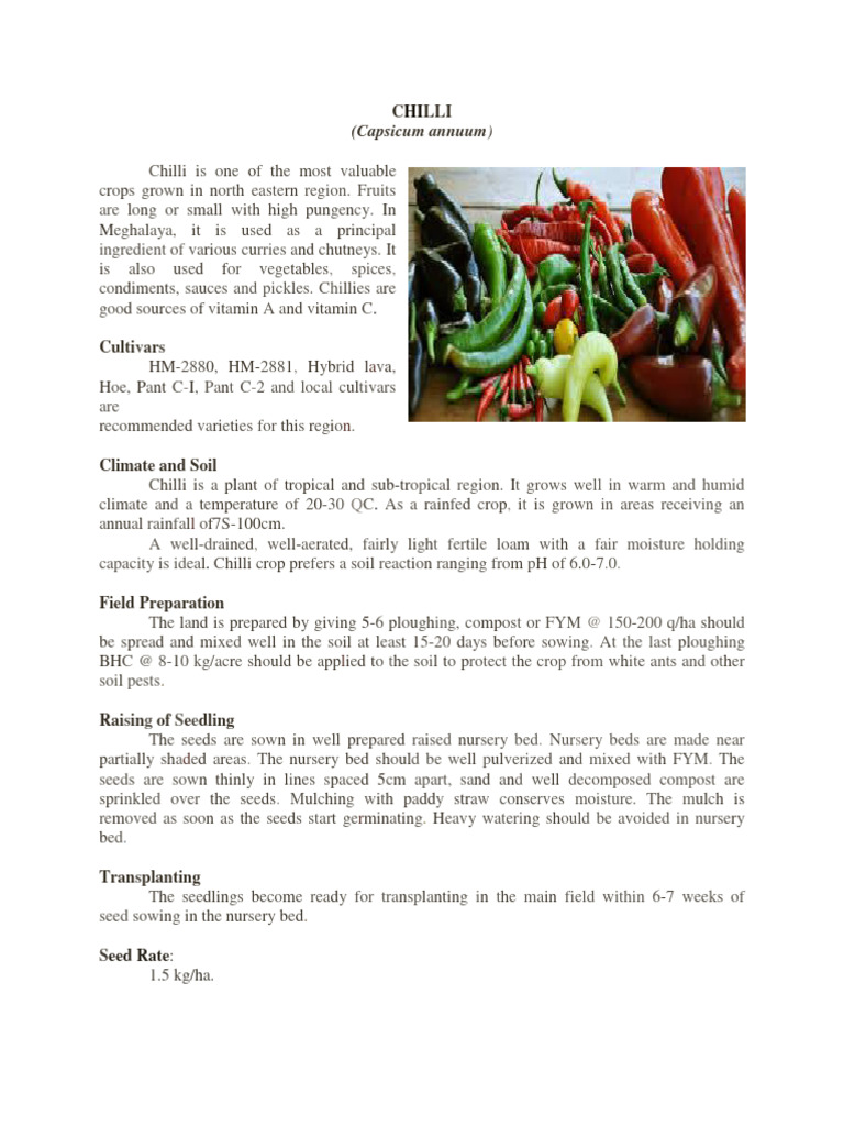 Chilli Cultivation Guide for Meghalaya | PDF | Plant Nursery | Mulch