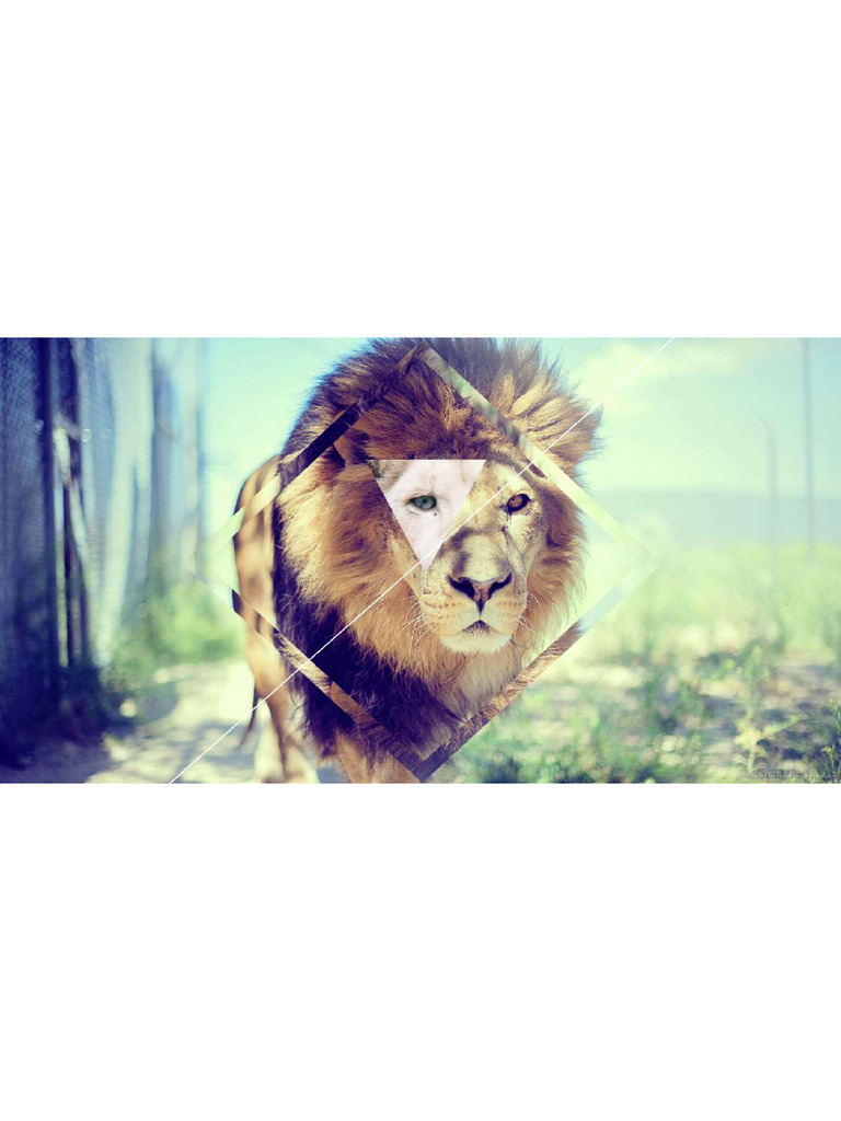 Hipster Wallpaper | PDF