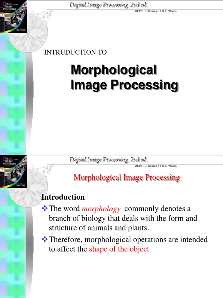 Morphological Image Processing Techniques | PDF