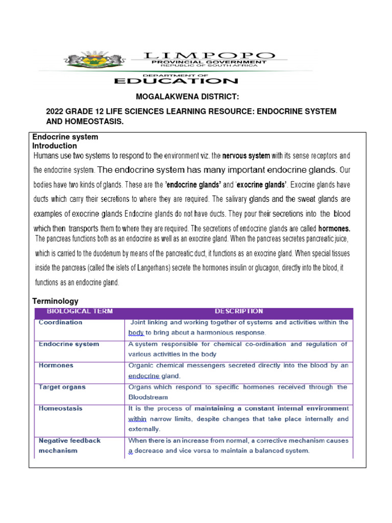 2024 Grade 12 Term 2 Learning Resource On Endocrine System | PDF ...