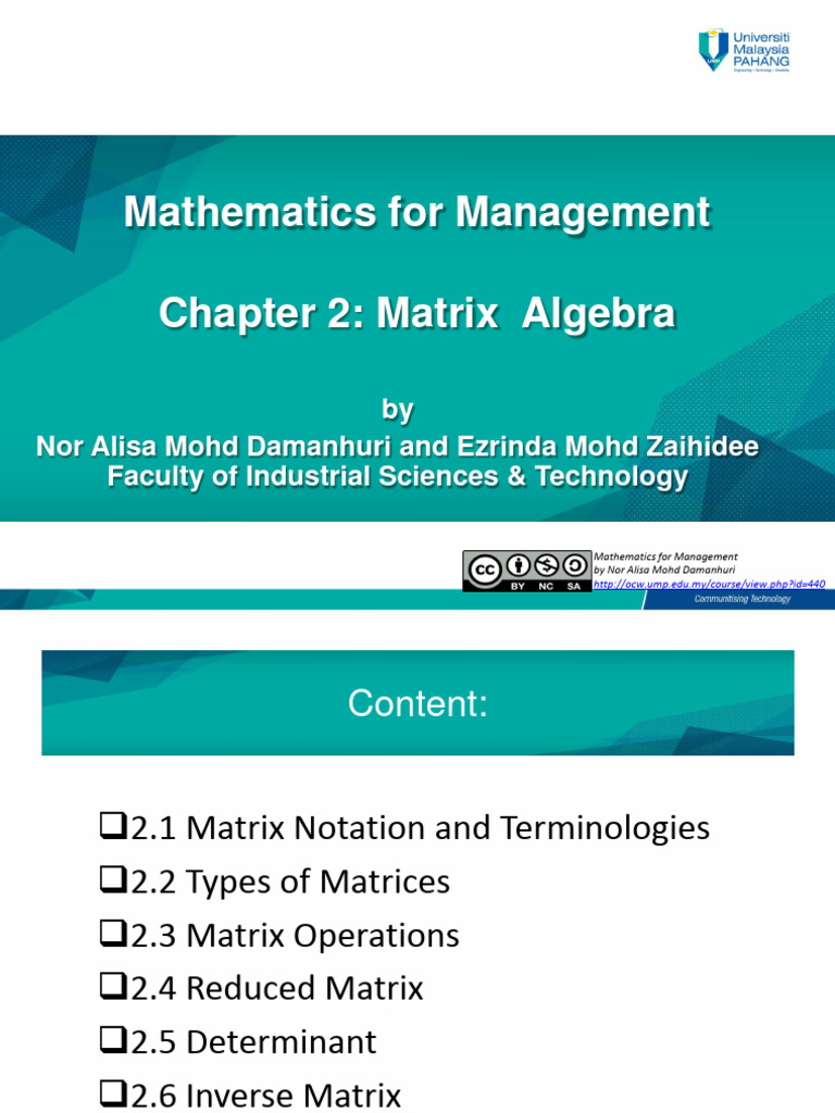 Matrix Algebra Chapter2 | PDF | Matrix (Mathematics) | System Of Linear Equations