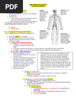Medication Ticket Color Coding | PDF
