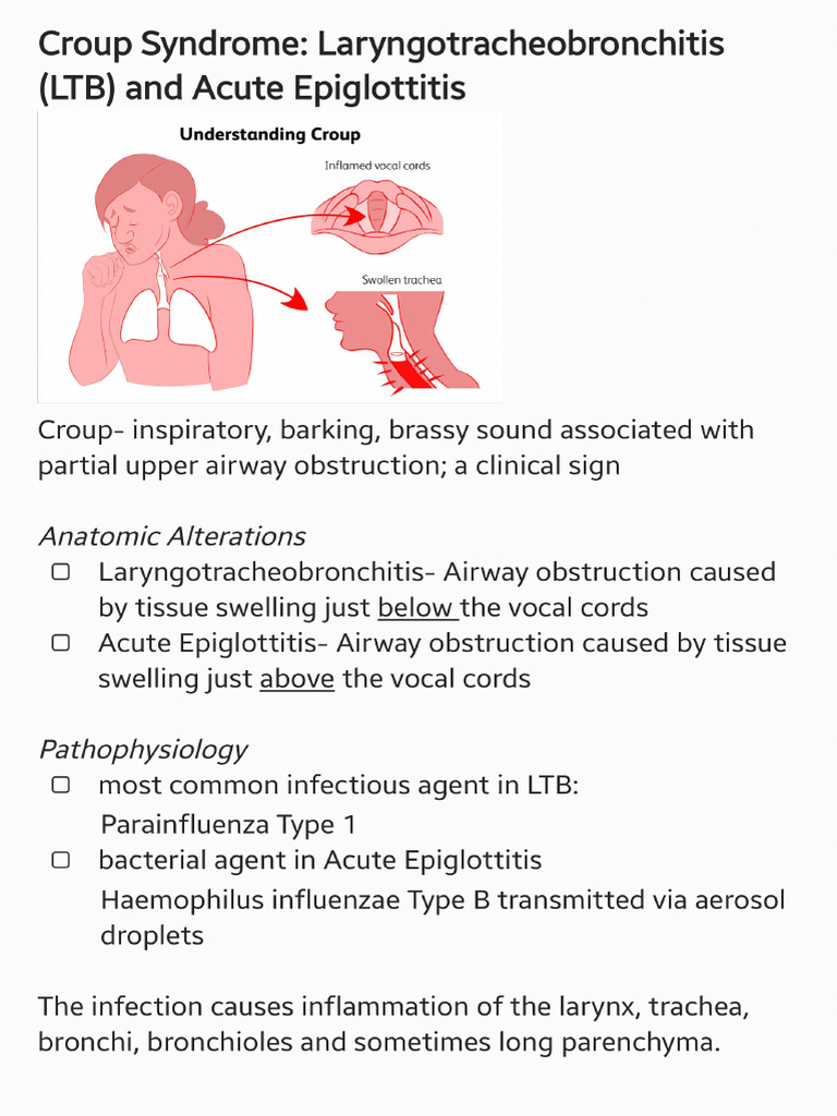Croup Syndrome - Laryngotracheobronchitis and Acute Epiglottitis | PDF