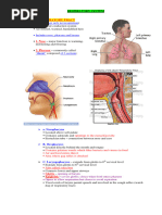 CHN Fhsis | PDF | Patient | Health Care