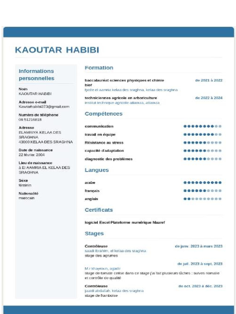 CV Kaoutar | PDF
