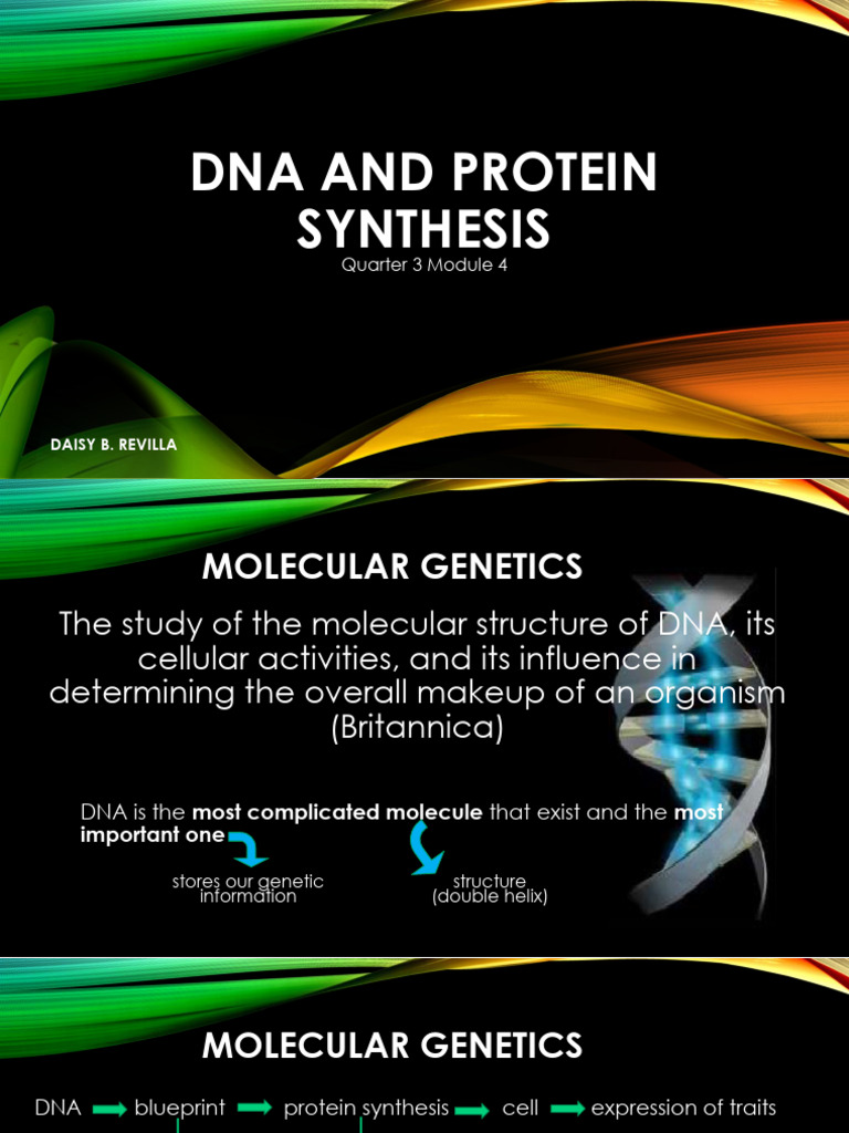 DNA & Protein Synthesis Guide | PDF | Translation (Biology) | Dna