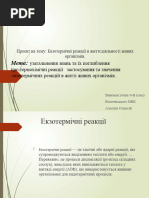 ? Past Simple Tense | PDF