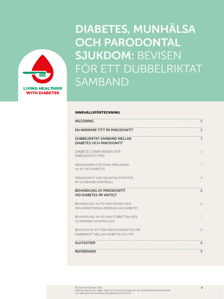 Whitepaper Diabetes Bi Directional Link SE | PDF