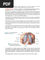 Pig Heart Dissection Manual STEM | PDF | Heart Valve | Atrium (Heart)