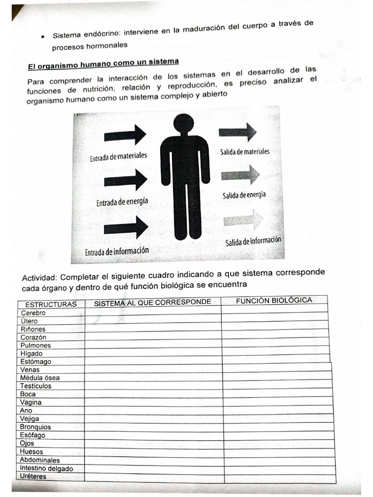 Sistemas Cuerpo Humano Pdf