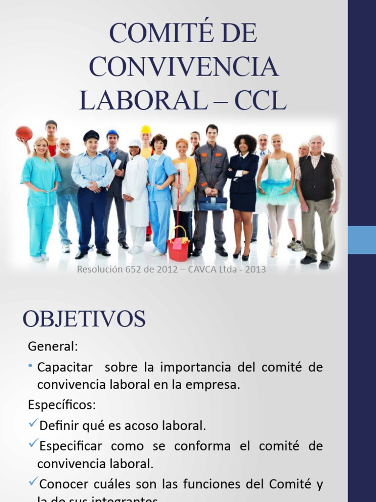 Roles y Responsabilidades CCL | PDF | Business