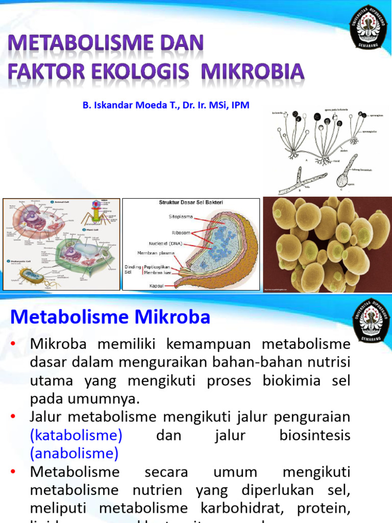 Metabolisme Mikrobia Dan Faktor Ekologis | PDF